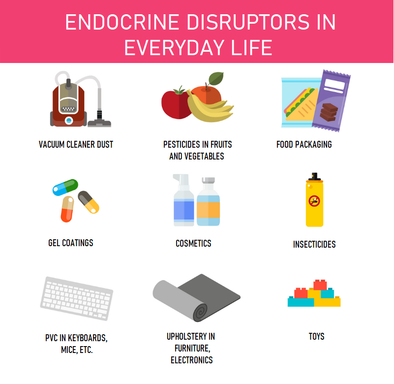 Let's talk about endocrine disruptors! - Ozalys